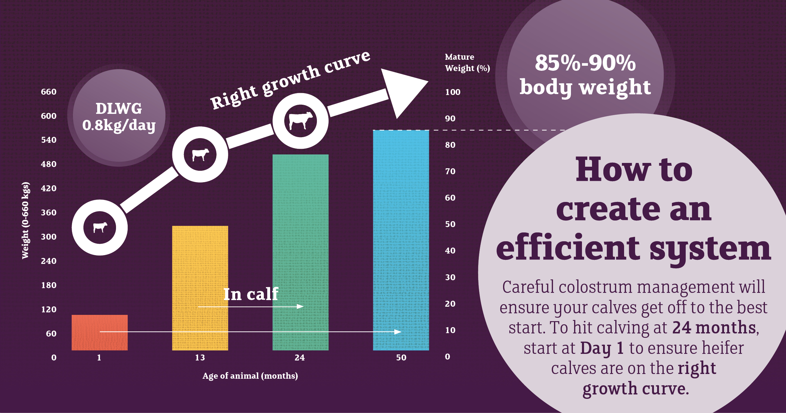 #FeedForEfficiency: Maximising your calves’ pote... - Feed for Growth