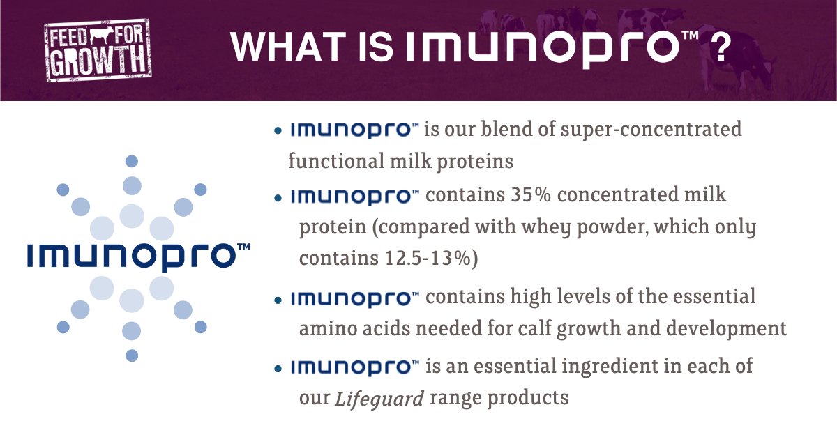 Hydration and Nutrition Week: The Wrap-Up - Feed for Growth